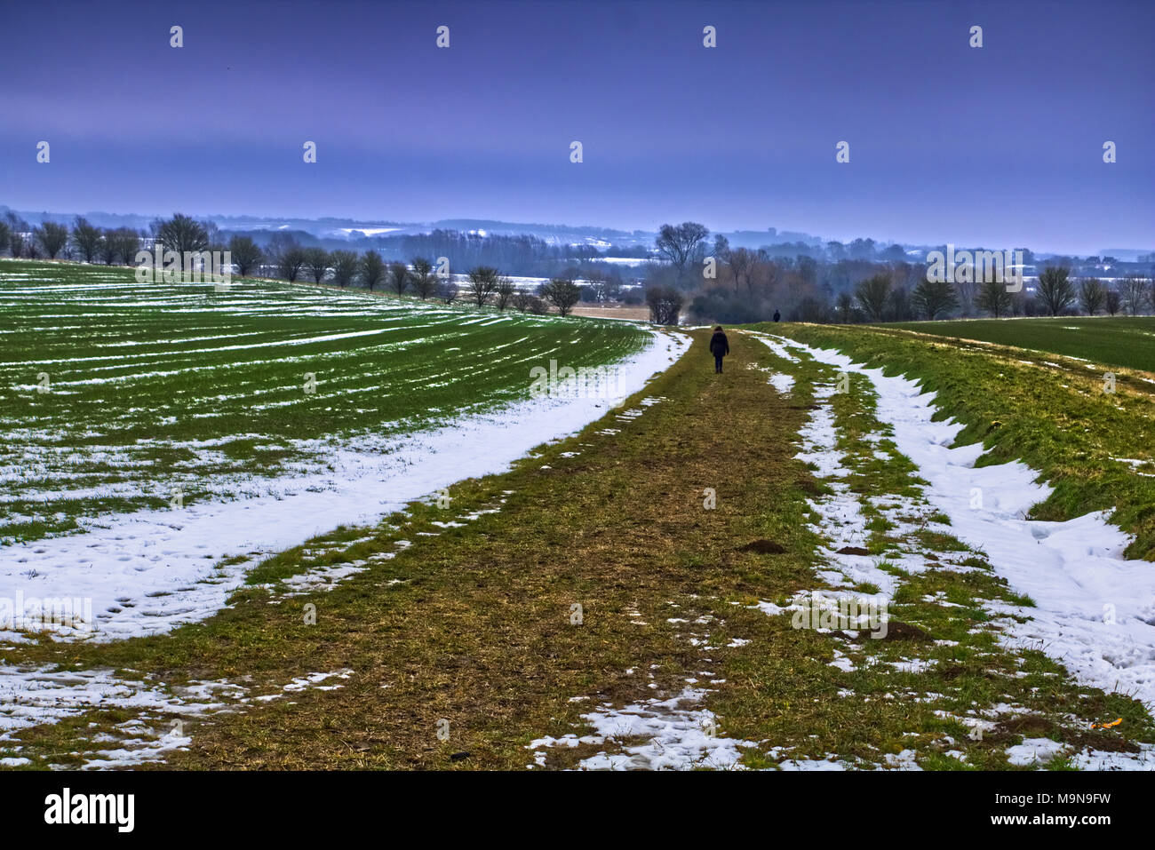 Walking into the Great Ouse Valley, Bedfordshire, Between Snowy Fields ...