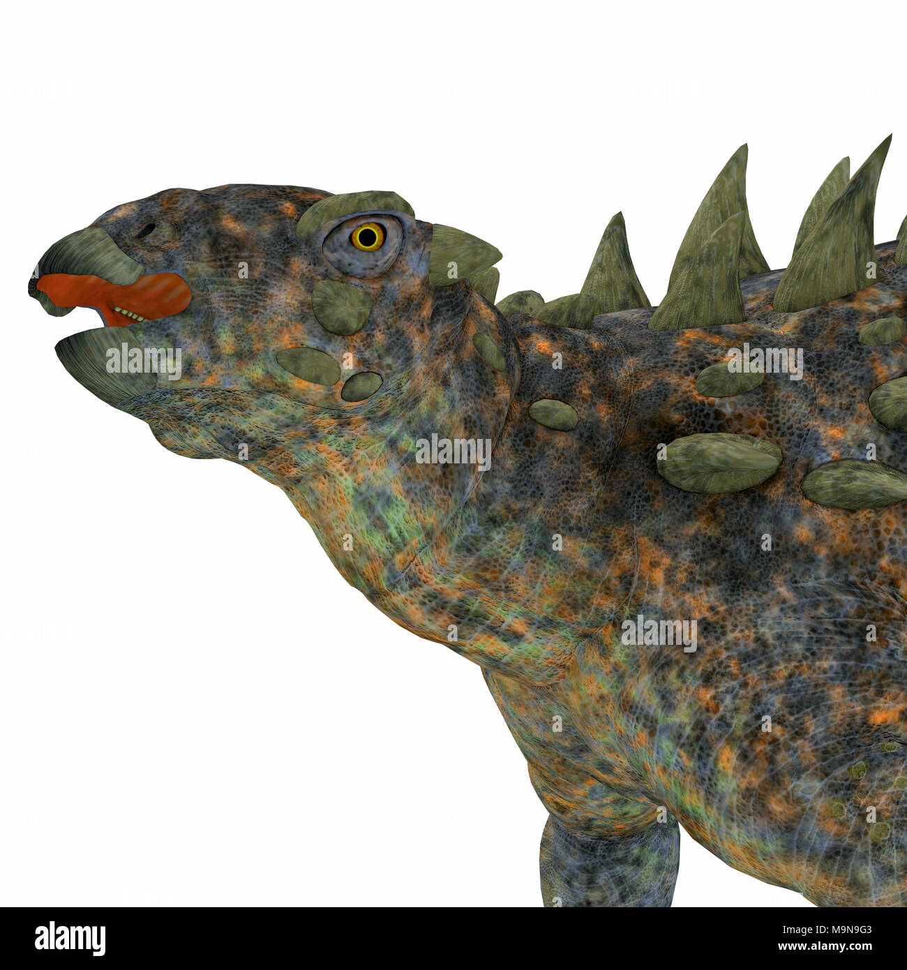 Polacanthus Dinosaur Head - Polacanthus was an armored herbivorous ... Polacanthus Dinosaur Head - Polacanthus was an armored herbivorous ...