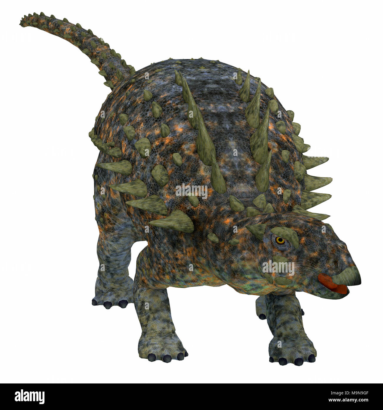 Polacanthus hi-res stock photography and images - Alamy