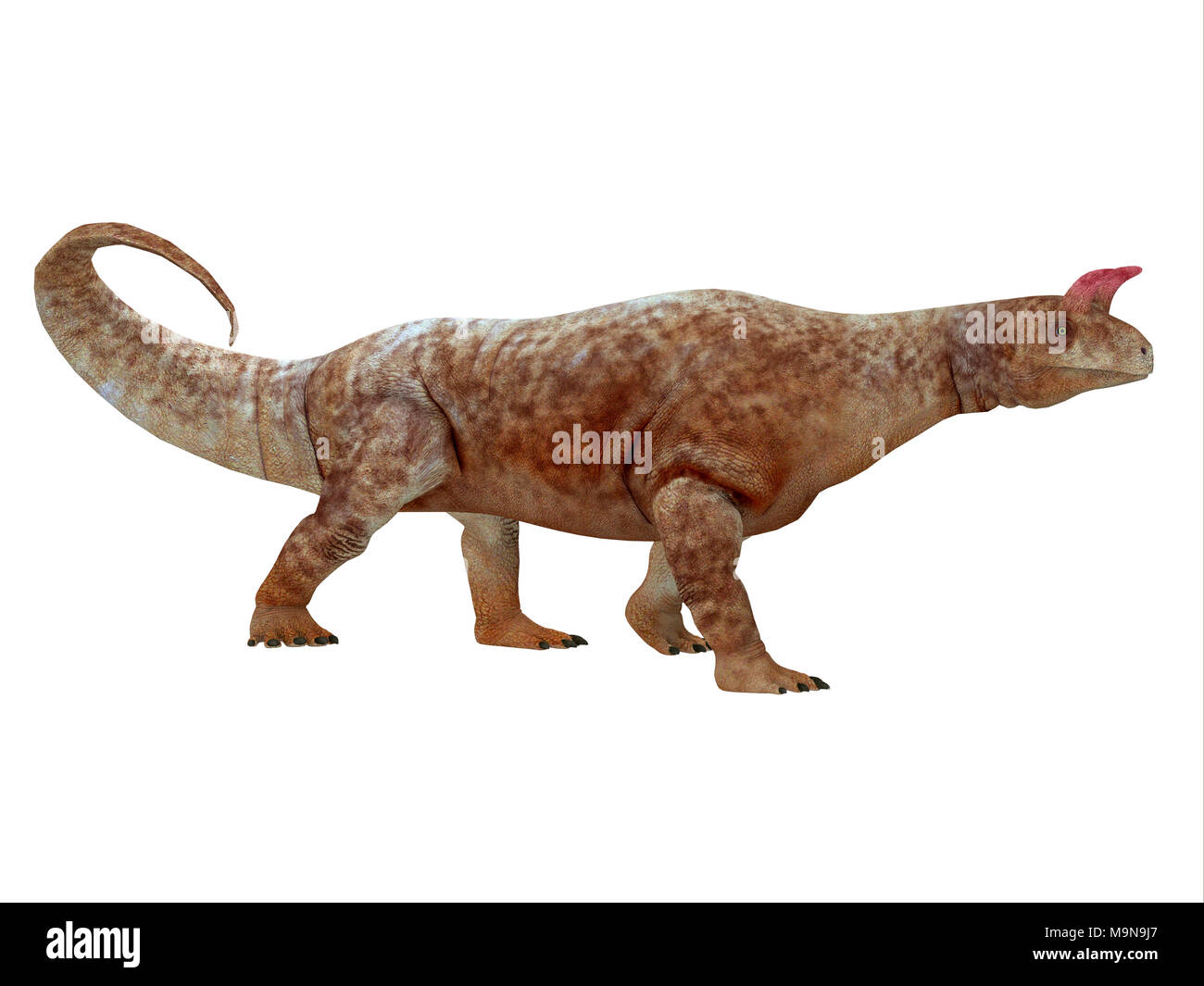 Shringasaurus Dinosaur Side Profile - Shringasaurus was a herbivorous ...