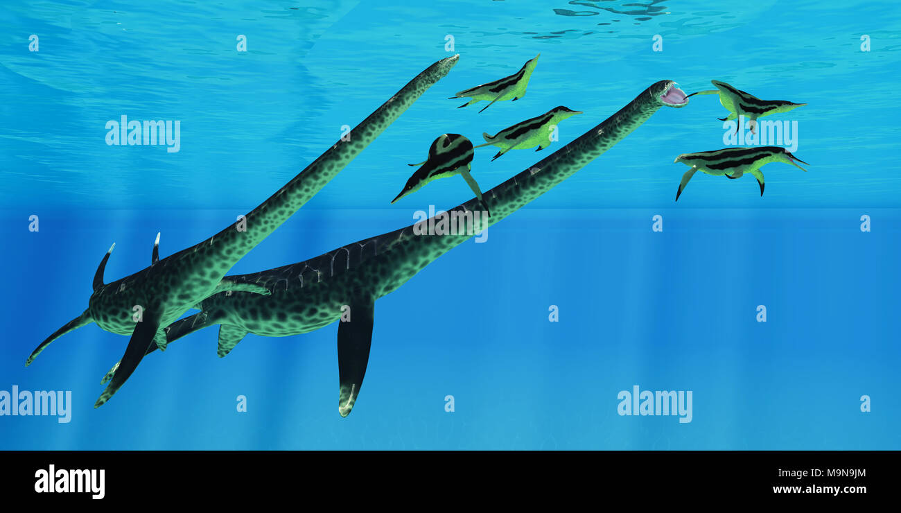 Plesiosaurs hi-res stock photography and images - Alamy