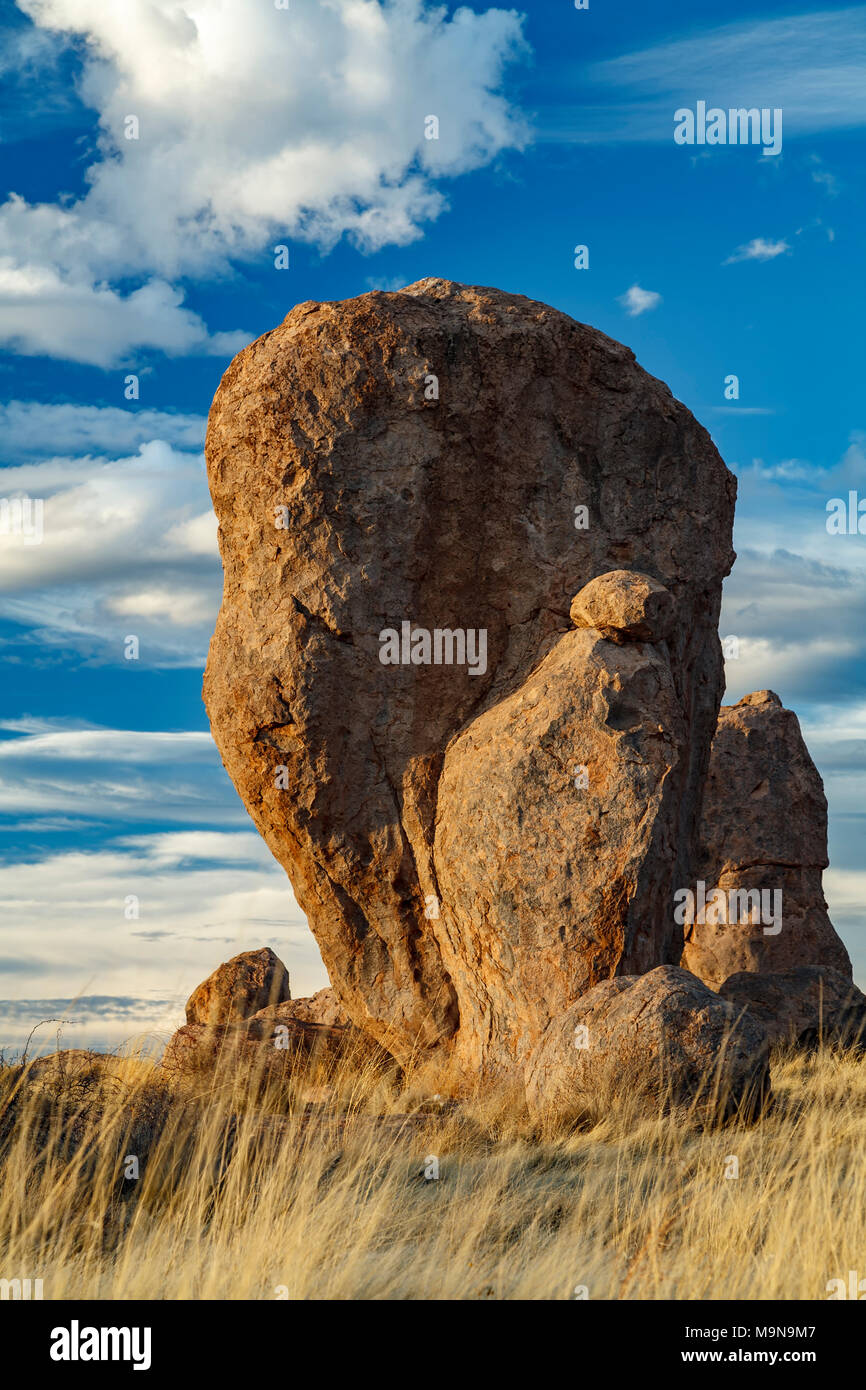 Standing rocks (hardened volcanic tuff) and grasses, City of Rocks ...