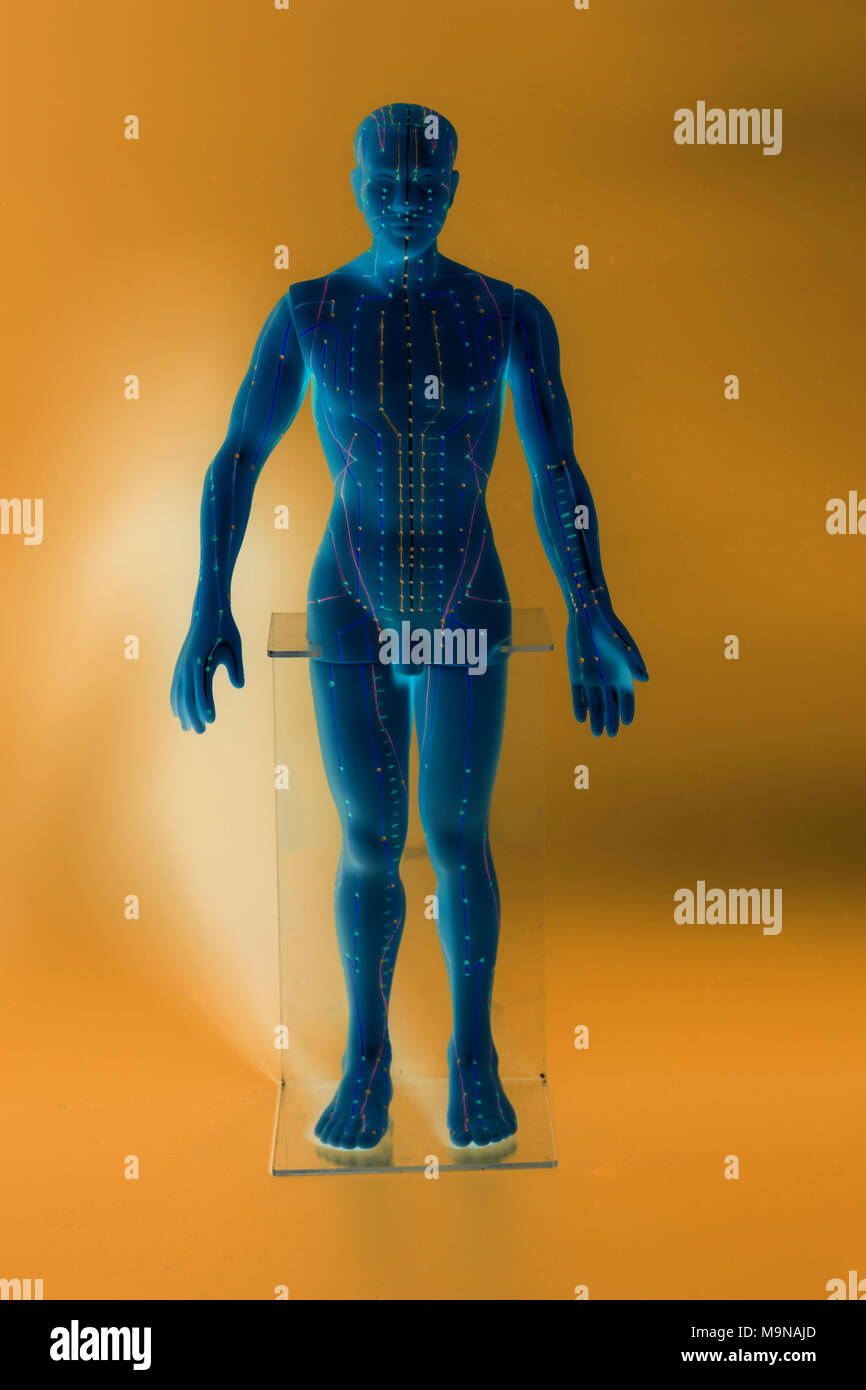 Medical acupuncture model of human on yellow background Stock Photo - Alamy
