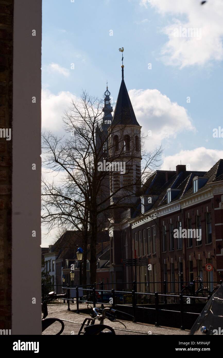 Sunshine tower towers tree hi-res stock photography and images - Alamy