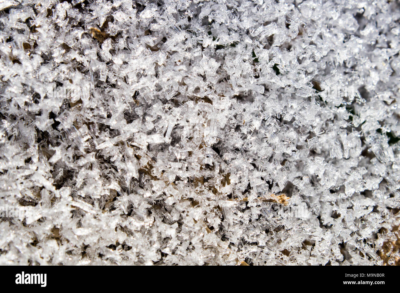 Macro close up shot ice hi-res stock photography and images - Alamy