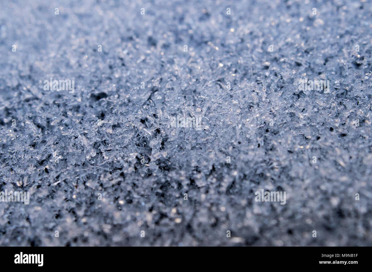 Extreme macro texture close hi-res stock photography and images - Alamy