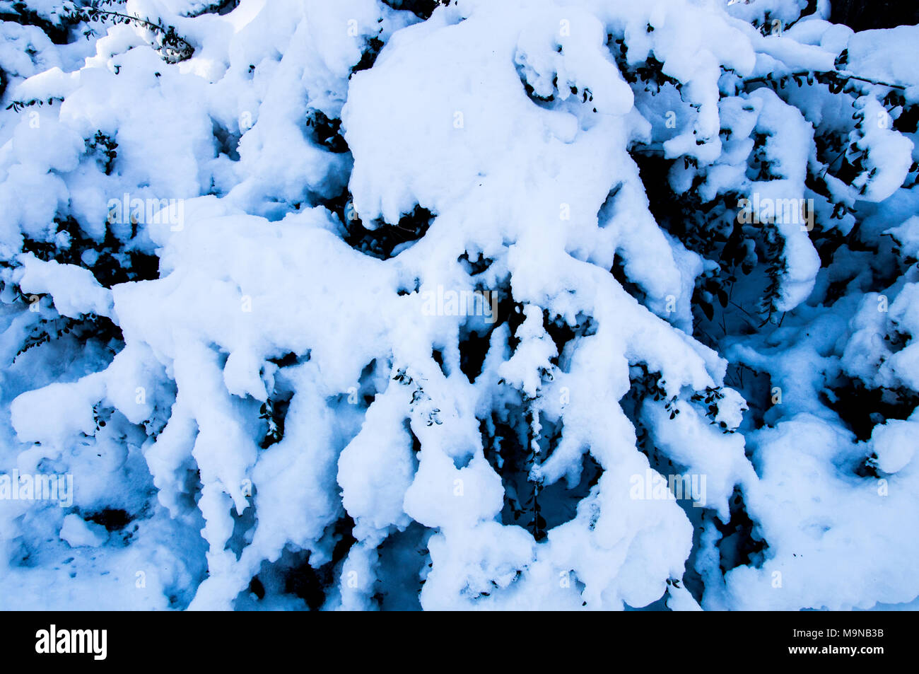 Winter time snow covering hi-res stock photography and images - Alamy
