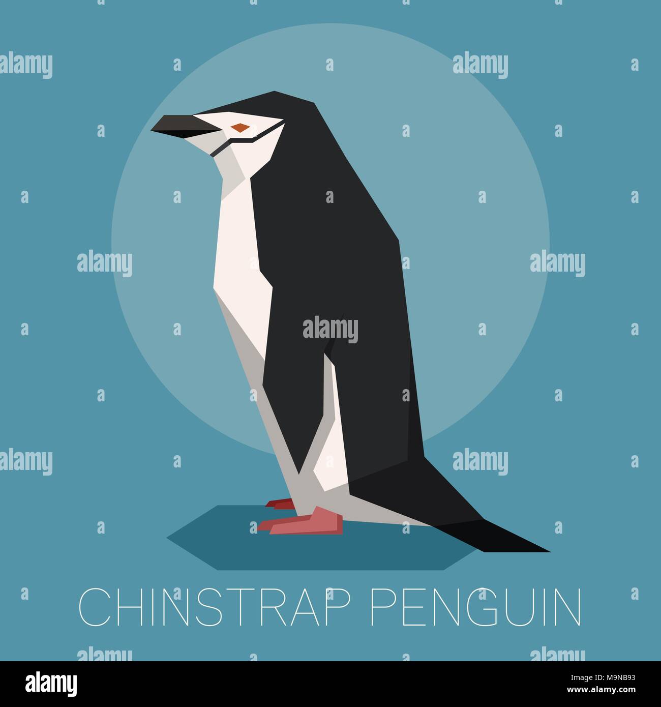 Polygonal penguin hi-res stock photography and images - Alamy