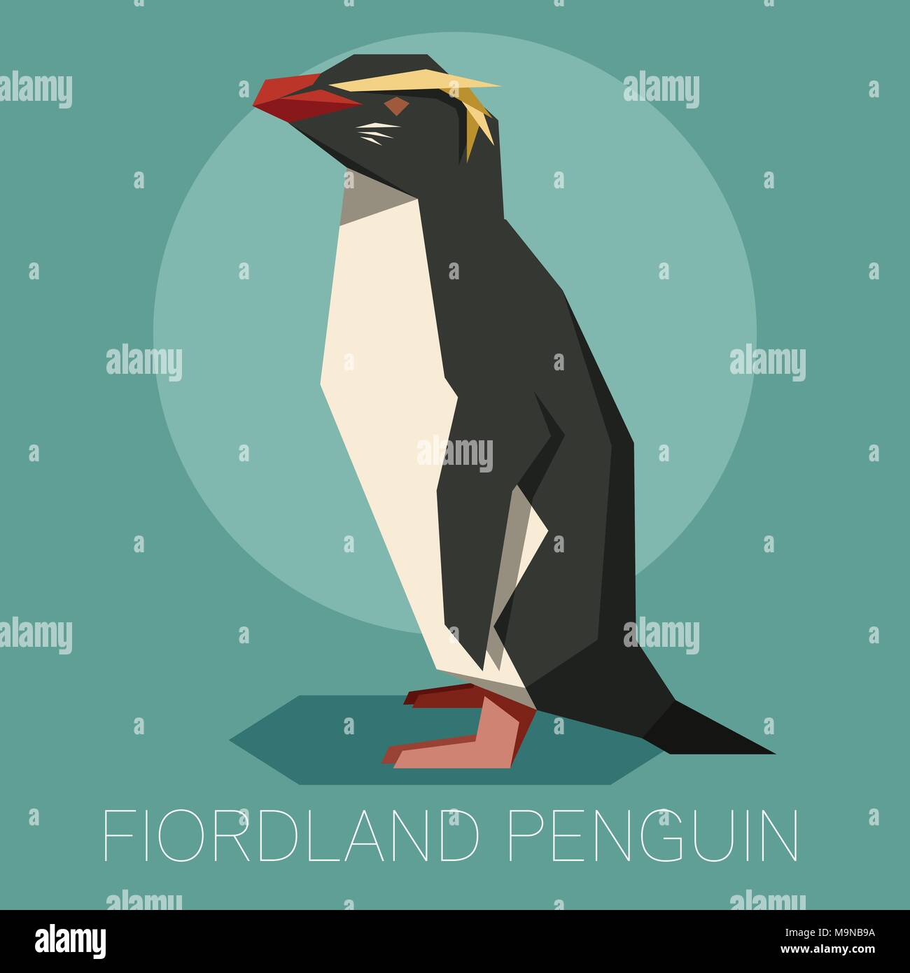 Vector image of the square-angled Flat Fiordland Penguin Stock Vector ...