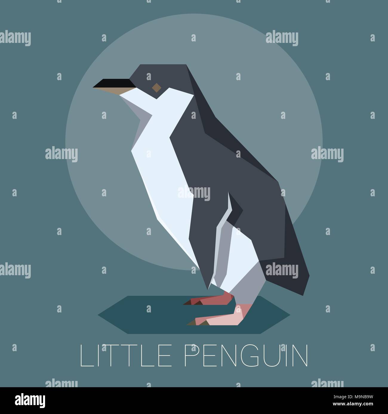 Vector image of the square-angled Flat Little Penguin Stock Vector ...
