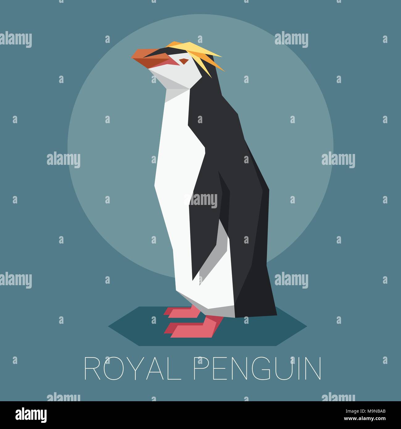 Vector image of the square-angled Flat Royal penguin Stock Vector Image ...