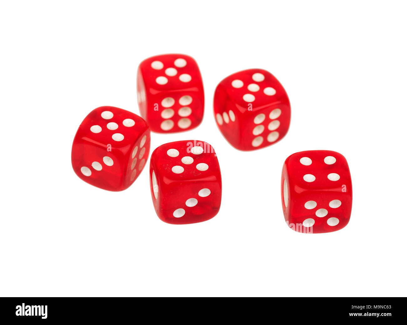 Number One Dice