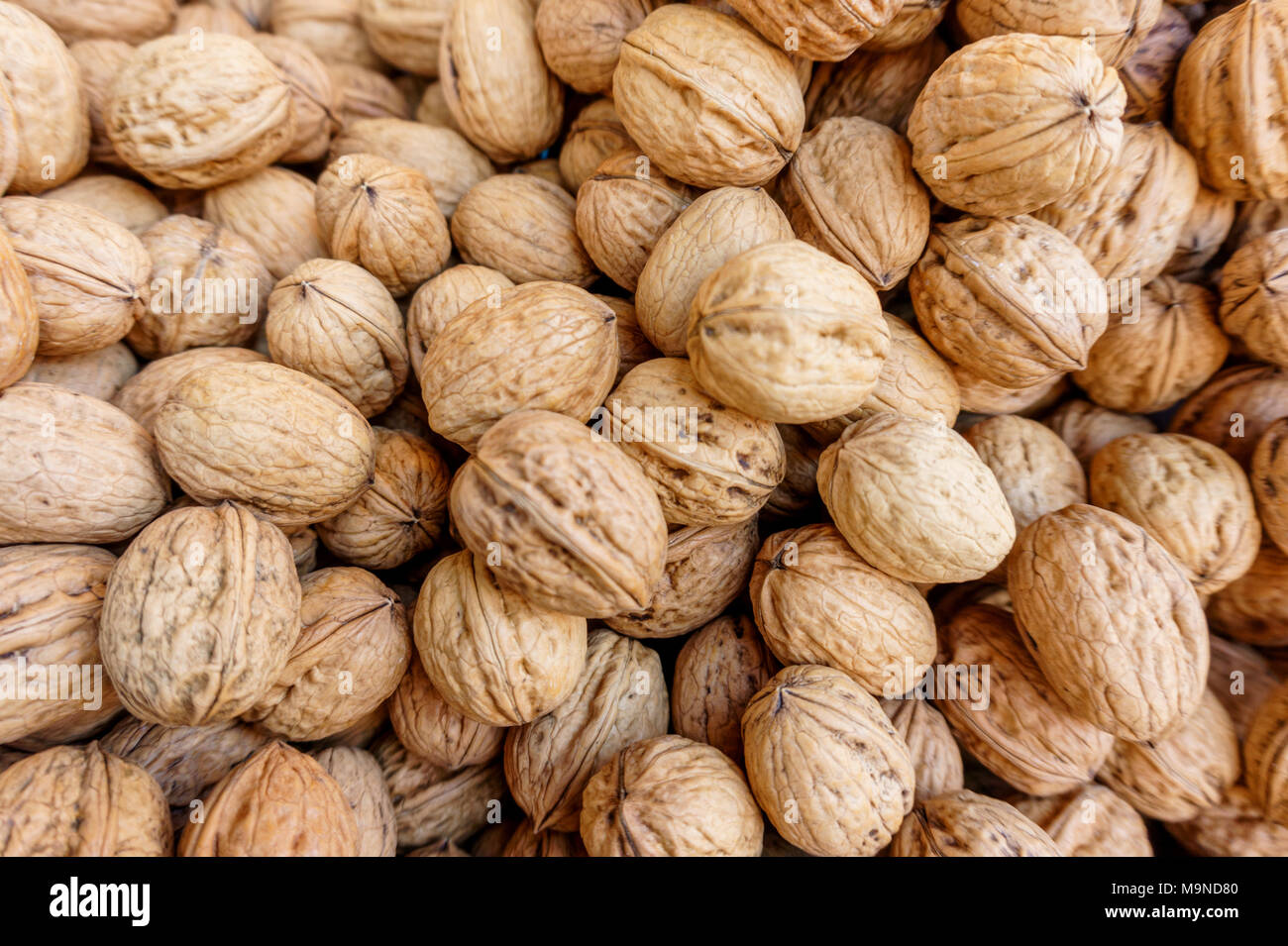 lots of european walnuts in peel, natural food background Stock Photo ...
