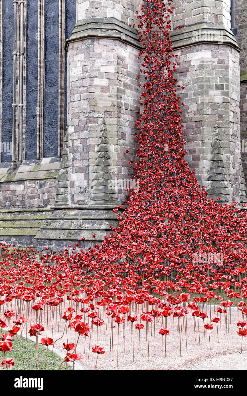 Red ceramic poppies fall from the weeping window of Hereford Cathedral ...
