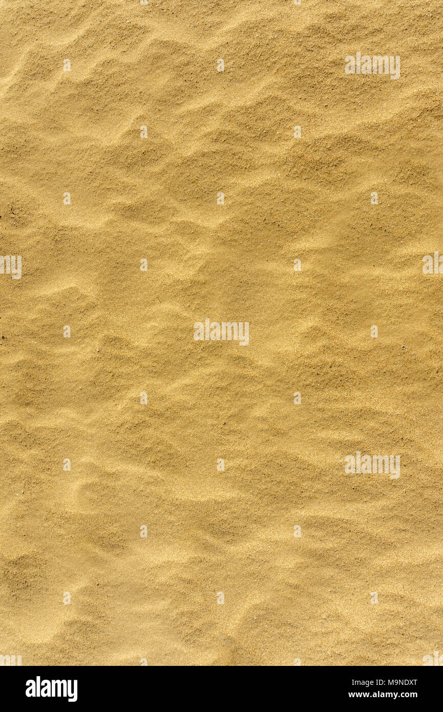 clean sand vertical texture, natural background, sandy pattern Stock ...