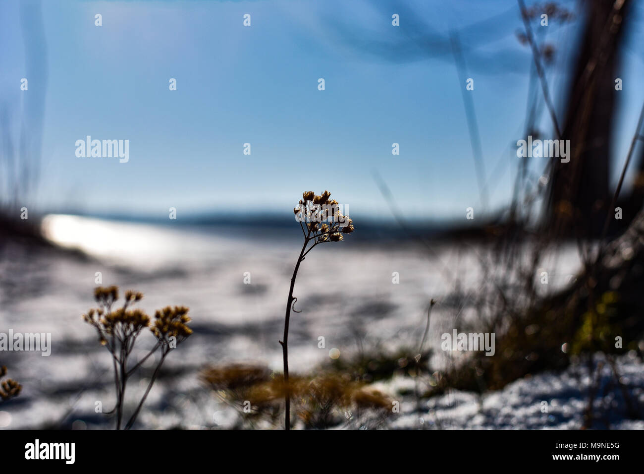 Faded landscape hi-res stock photography and images - Alamy