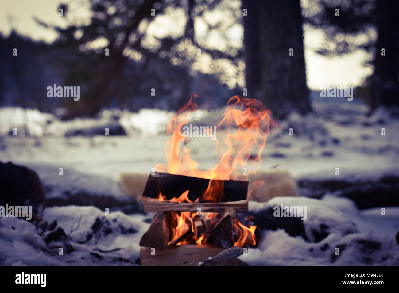 Burning of winter hi-res stock photography and images - Alamy