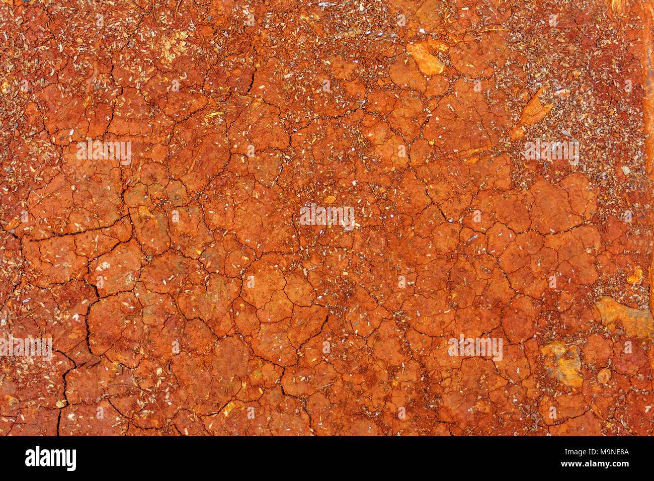red cracked soil background. desert texture Stock Photo - Alamy