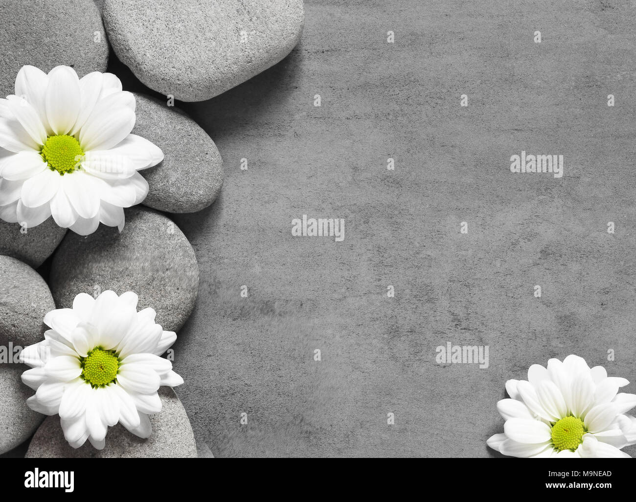 Set of white flowers on pebble. Spa concept Stock Photo - Alamy