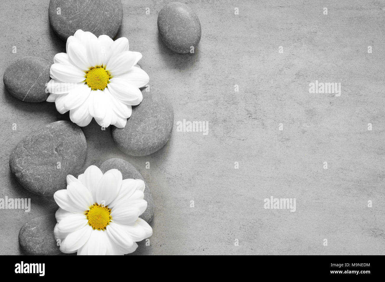 Set of white flowers on pebble. Spa concept Stock Photo - Alamy