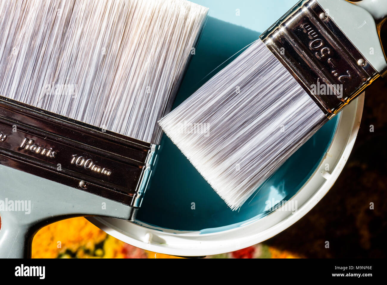 Emulsion finish hi-res stock photography and images - Alamy