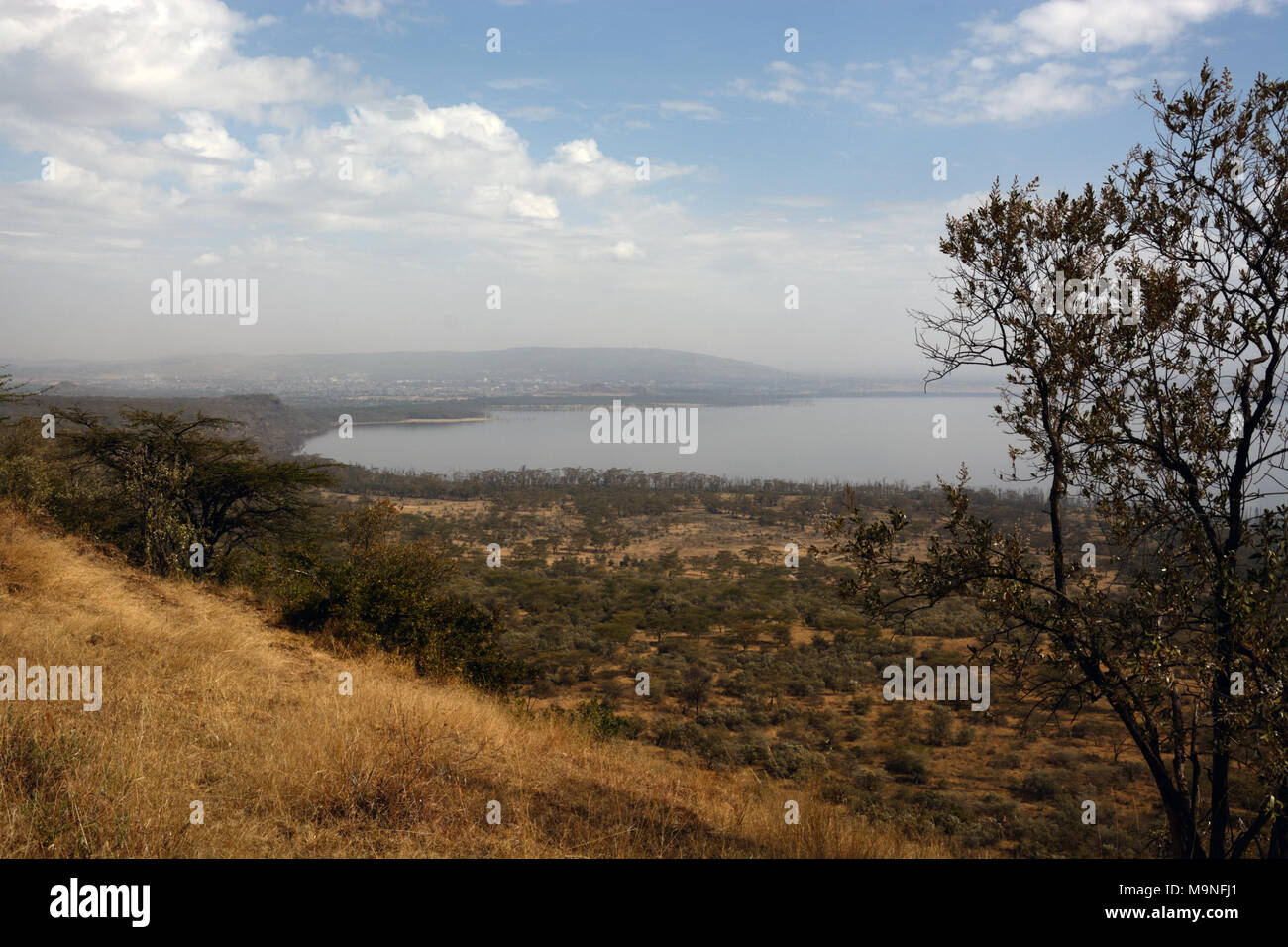 Nakuru town hi-res stock photography and images - Alamy