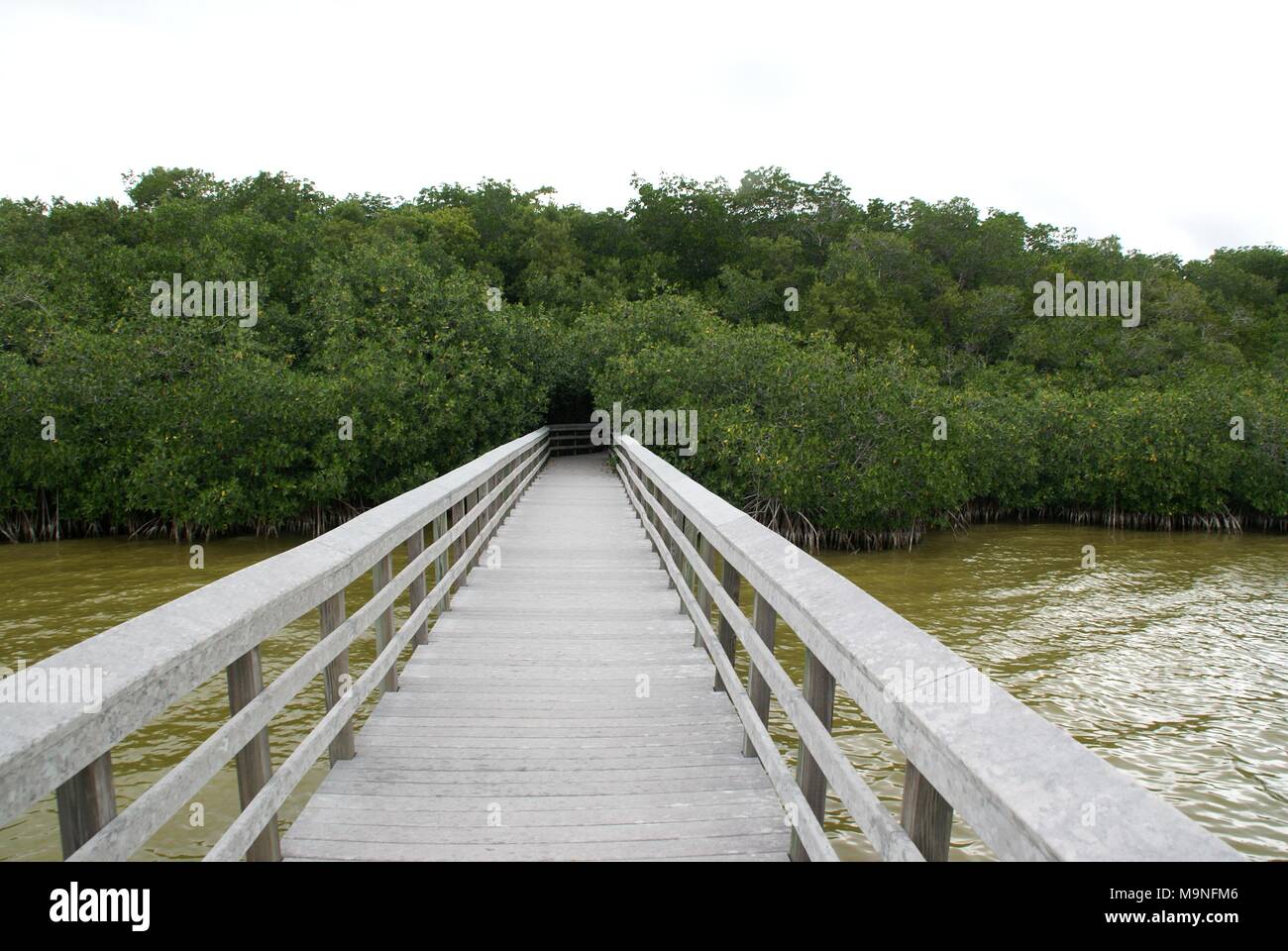 Everglades bridge hi-res stock photography and images - Alamy