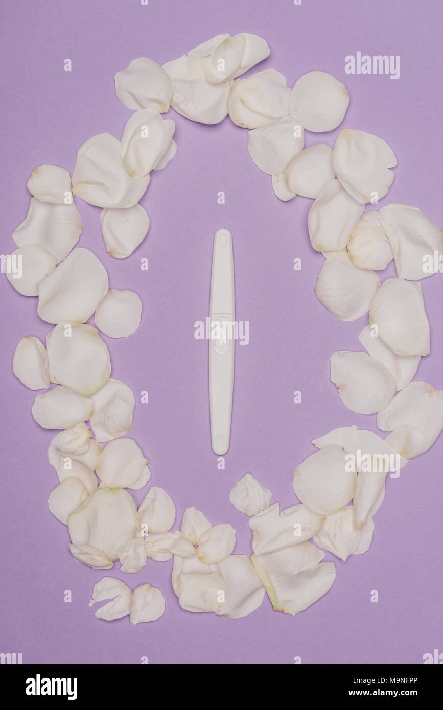 top view of arranged petals and pregnancy test isolated on purple Stock ...