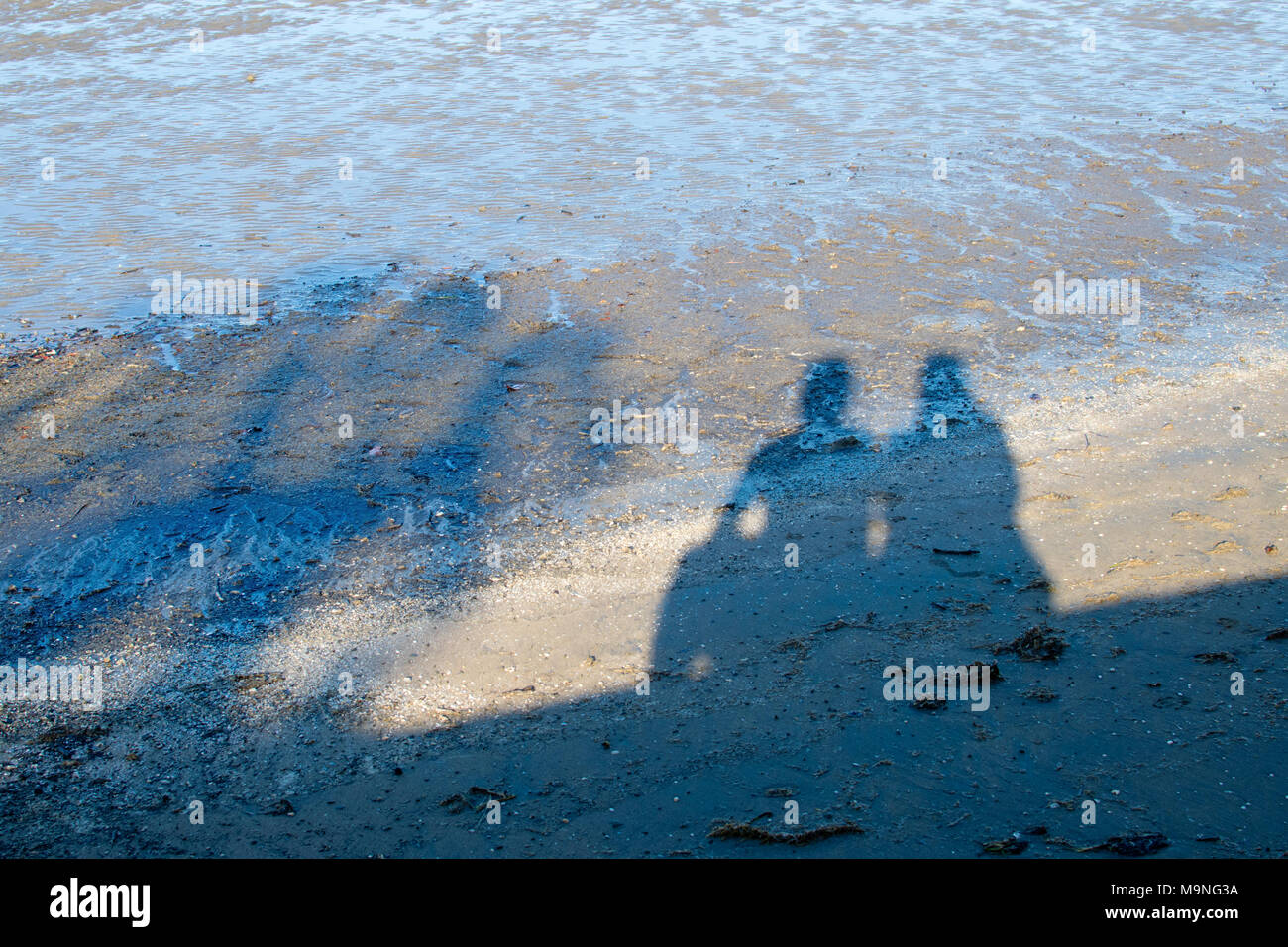 Human shadows on a beach in Australia Stock Photo - Alamy