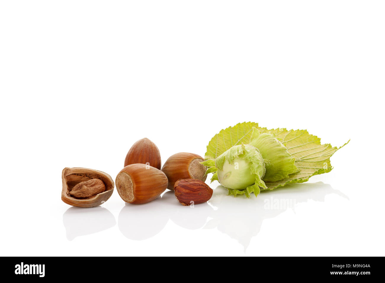 Hazelnut. Fresh organic filbert isolated on white background. Healthy ...