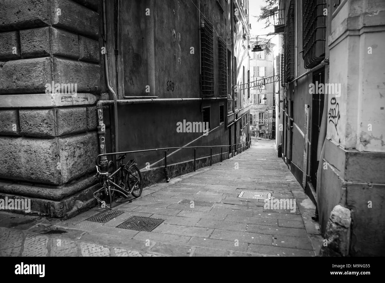 photograph taken walking through the typical alleys of the city of ...