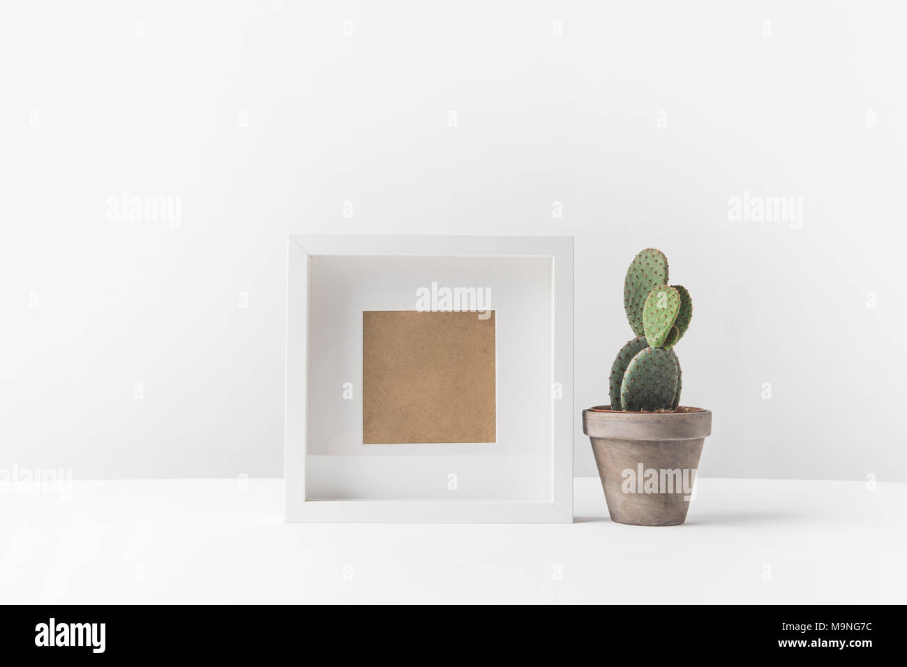 beautiful green potted cactus and empty photo frame on white Stock ...