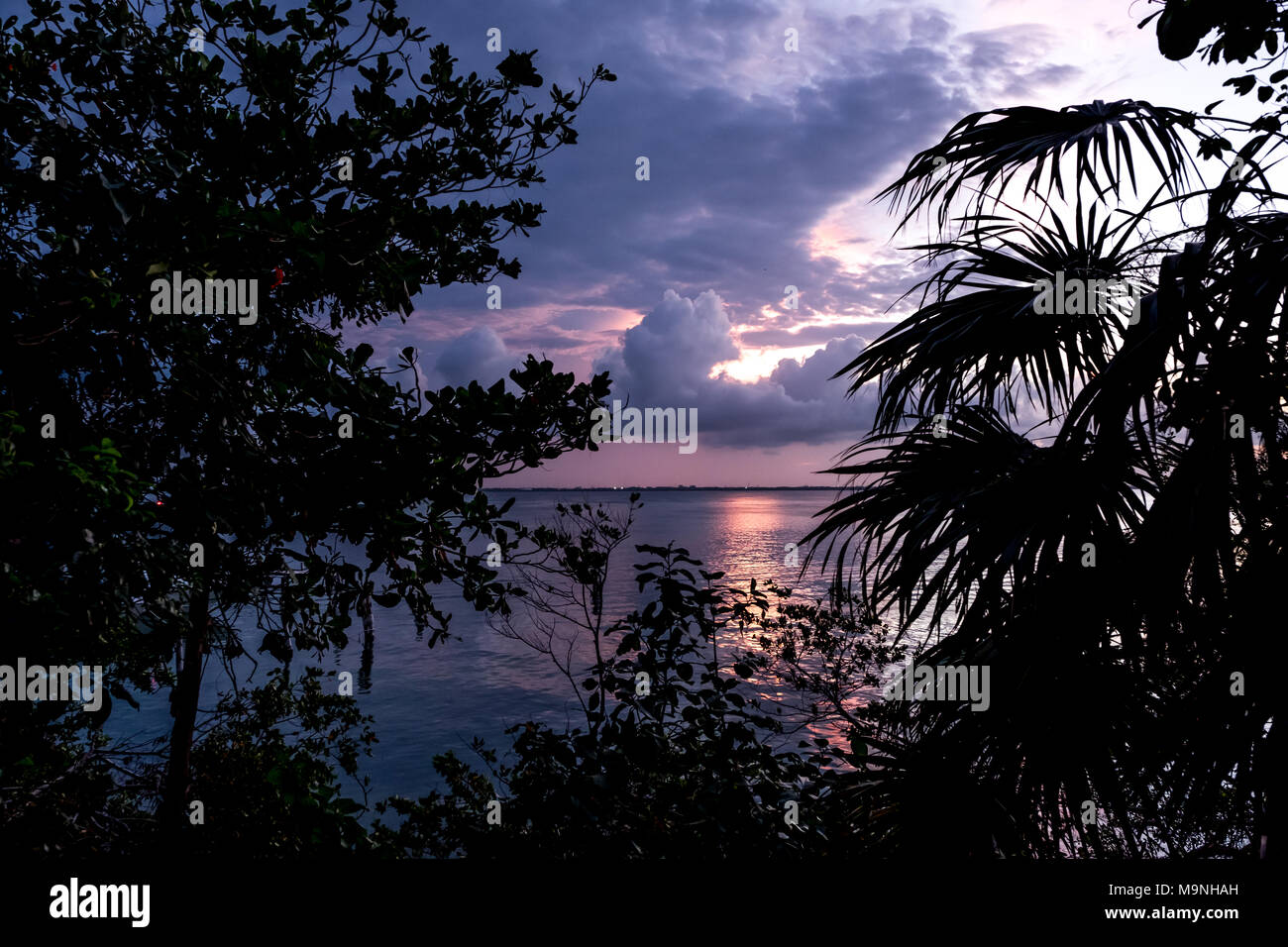 Cancun Lagoon View, Quintana Roo Stock Photo - Alamy
