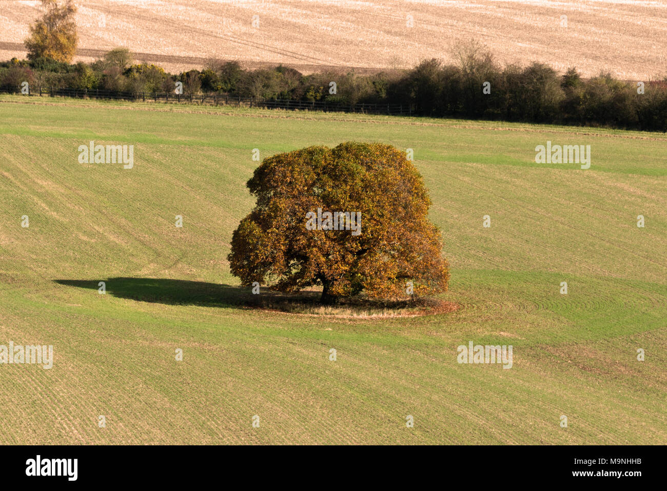 West knoyle, wiltshire hi-res stock photography and images - Alamy