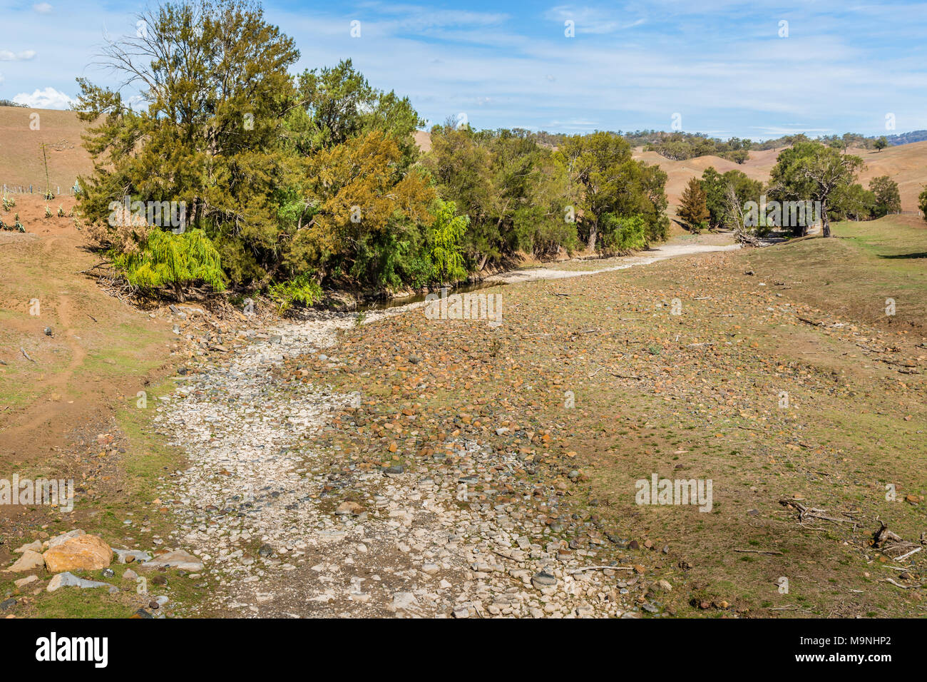 Gundy australia hi-res stock photography and images - Alamy