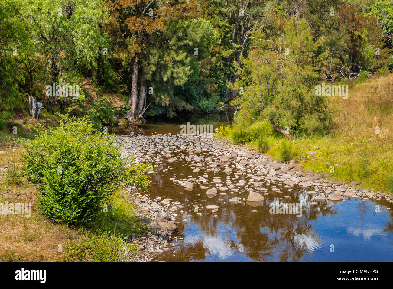 Hunter River Nsw High Resolution Stock Photography and Images - Alamy