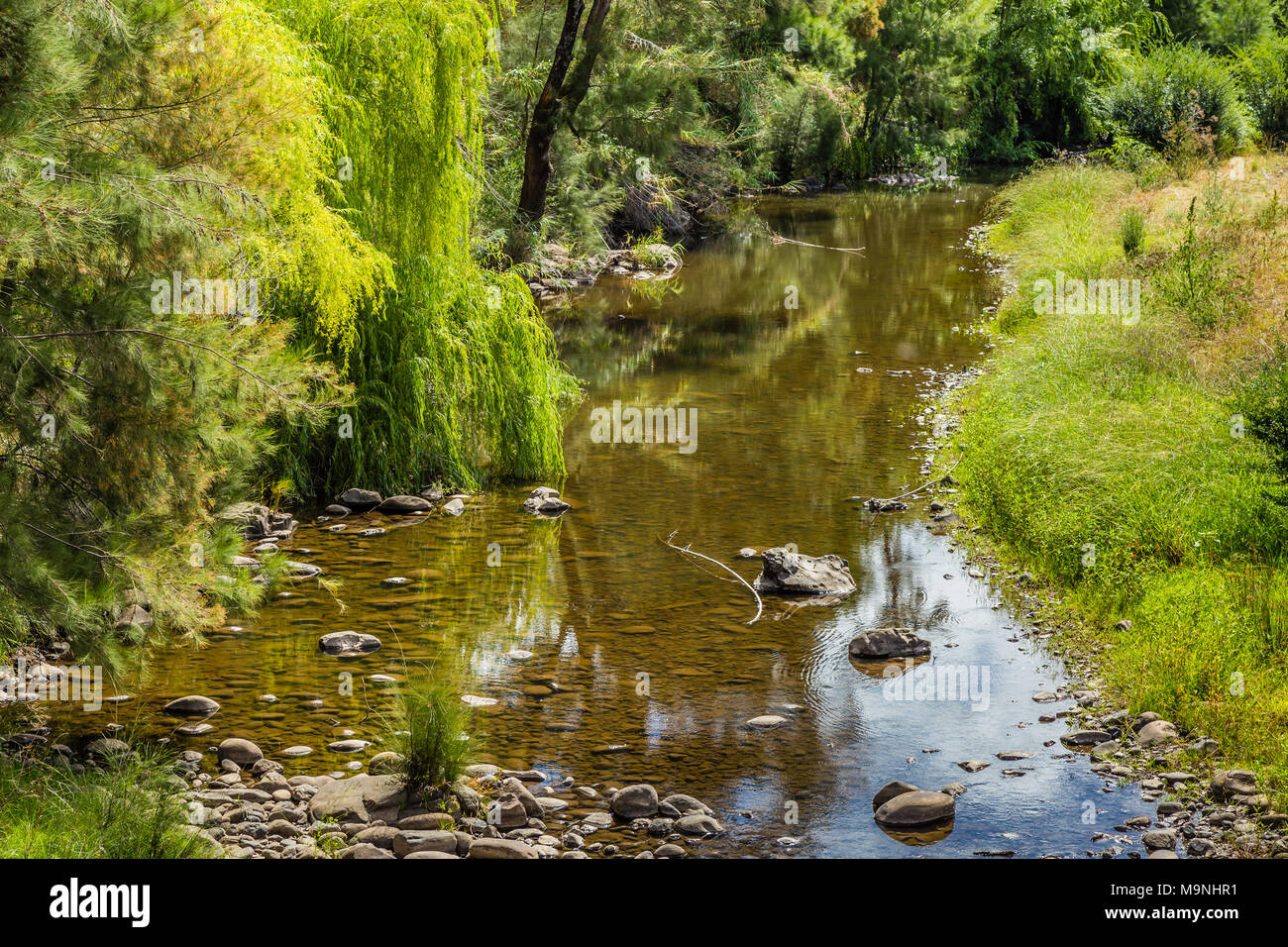 View of the Hunter River, as seen from Glenmore Bridge, Upper Hunter in ...