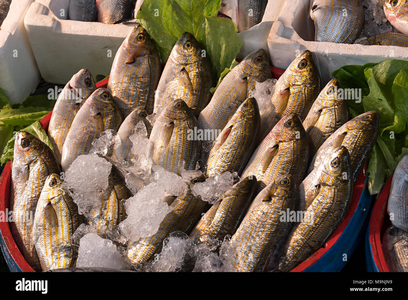 Fish on the market of Side, Turkey Stock Photo - Alamy
