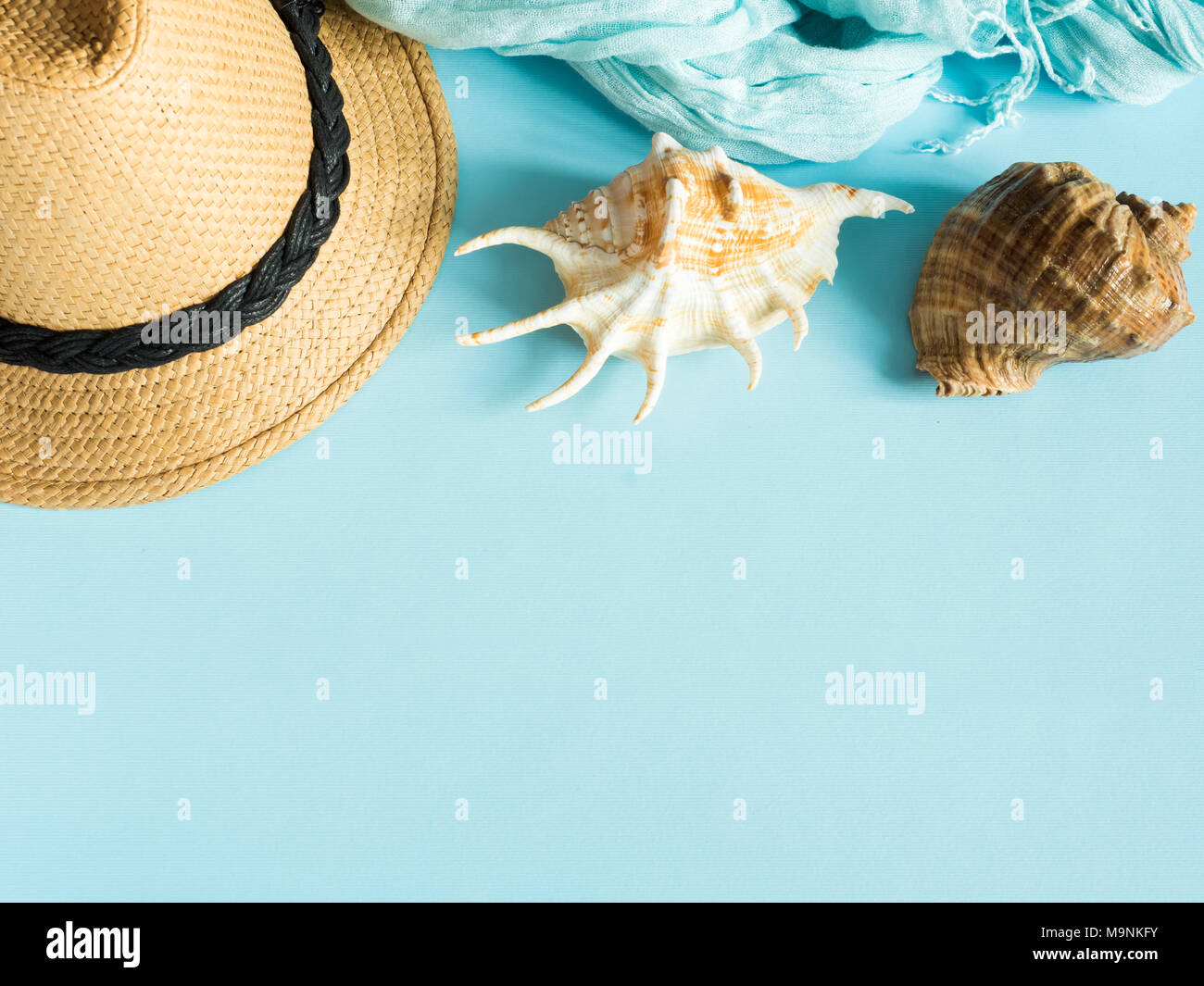 Straw Shell hat on pastel blue background Stock Photo - Alamy