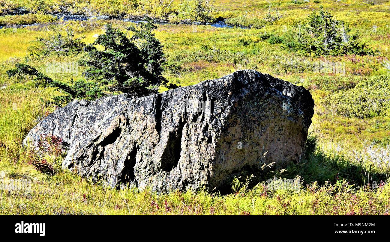 Still life stone ground hi-res stock photography and images - Alamy
