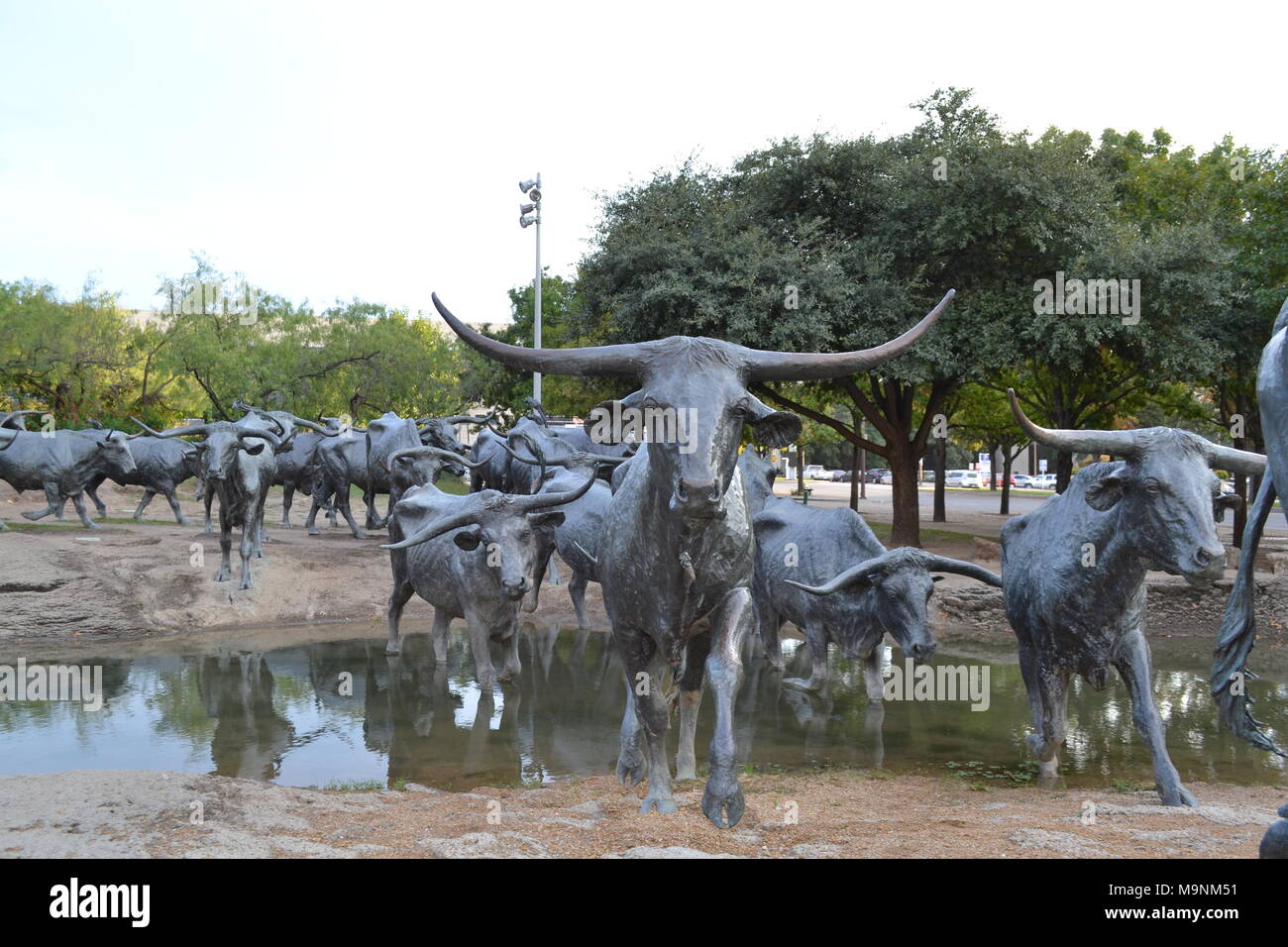 King ranch texas hi-res stock photography and images - Alamy