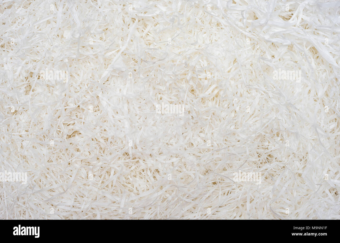 Plaidpattern hi-res stock photography and images - Alamy