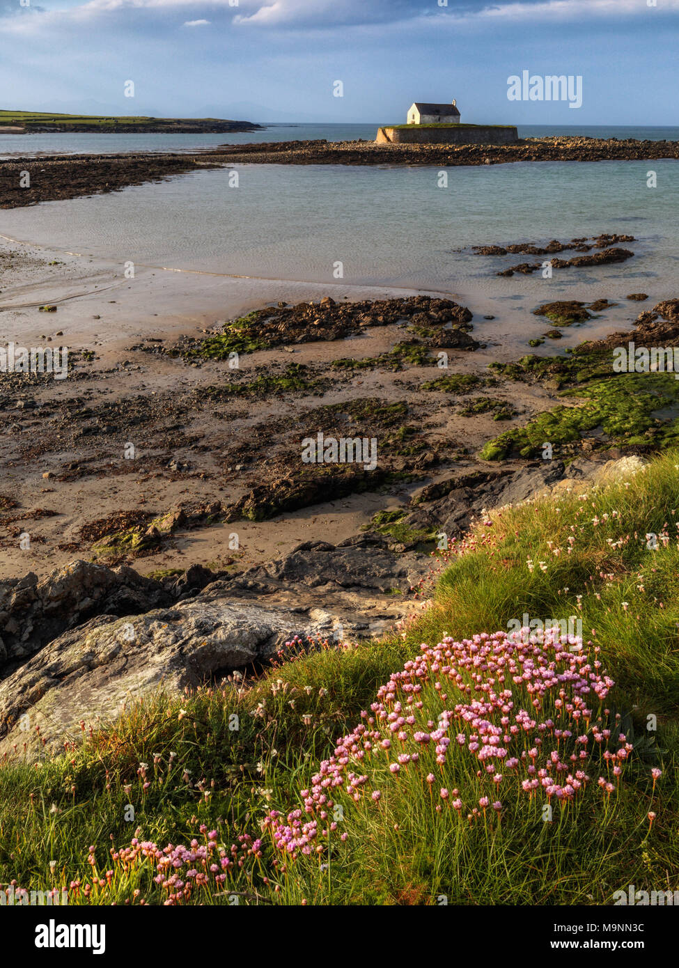 St. Cwyfans Church, the Little Church in the Sea, sits on the small ...