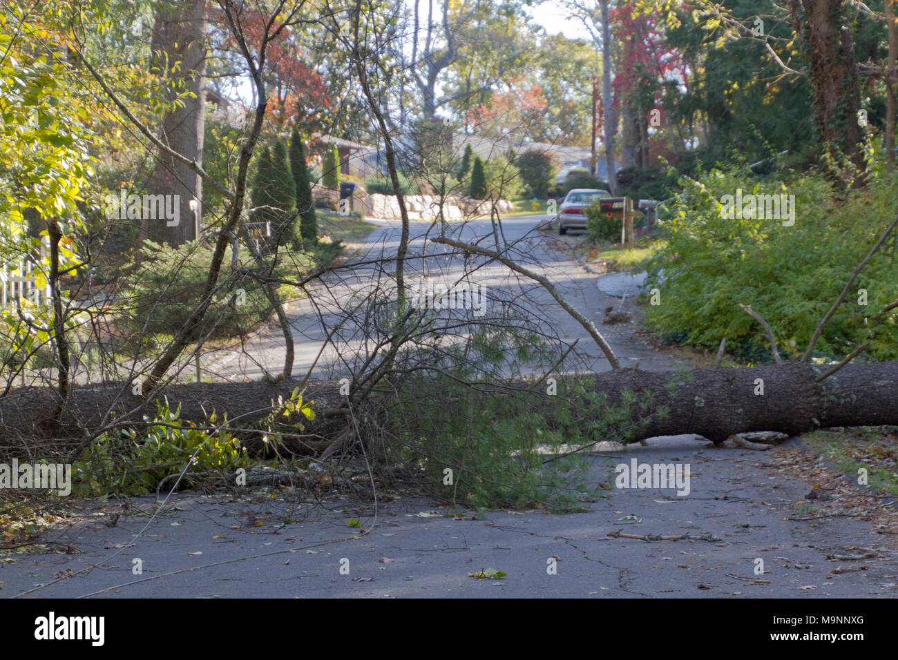 Alternate route hi-res stock photography and images - Alamy