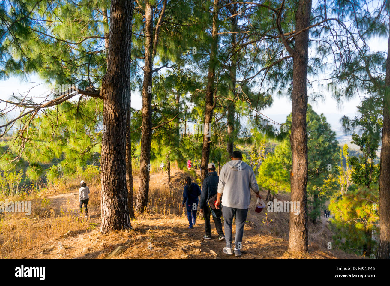 Dehradun hill station hi-res stock photography and images - Alamy