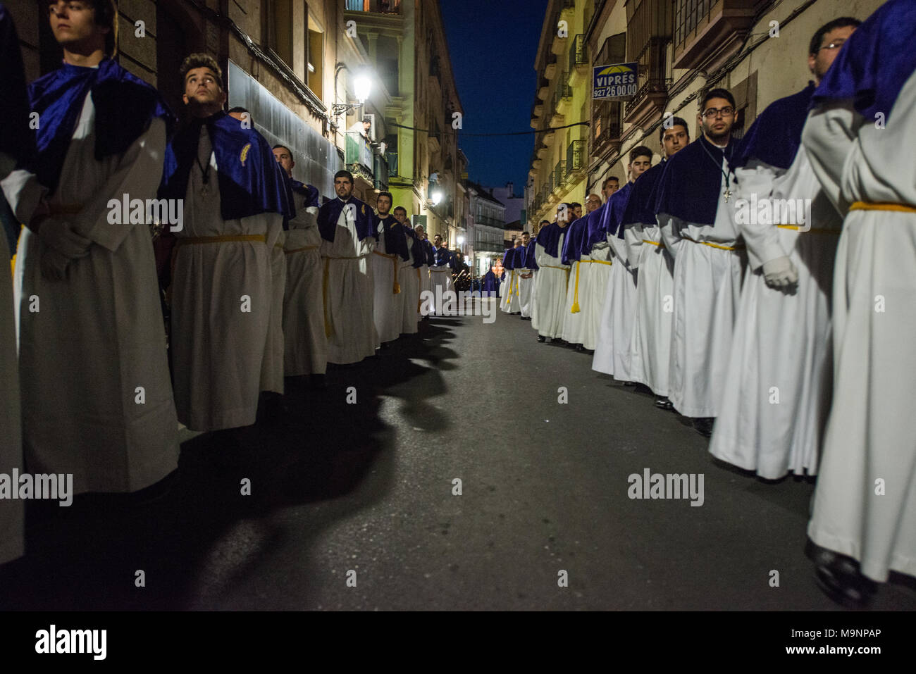 The Royal and Most Fervent Penitential Brotherhood and The Palms ...