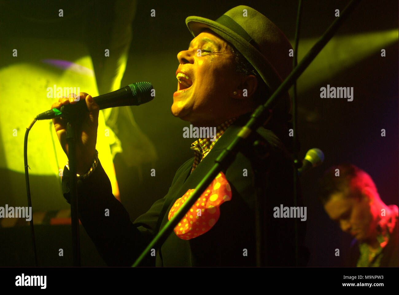 2 tone label hi-res stock photography and images - Alamy