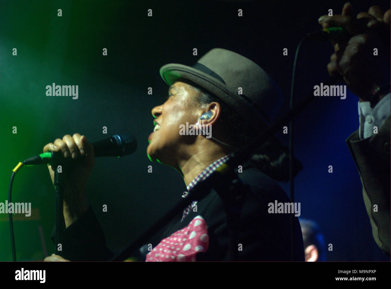 2 tone label hi-res stock photography and images - Alamy