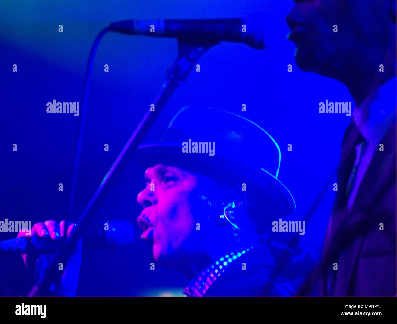 2 tone label hi-res stock photography and images - Alamy