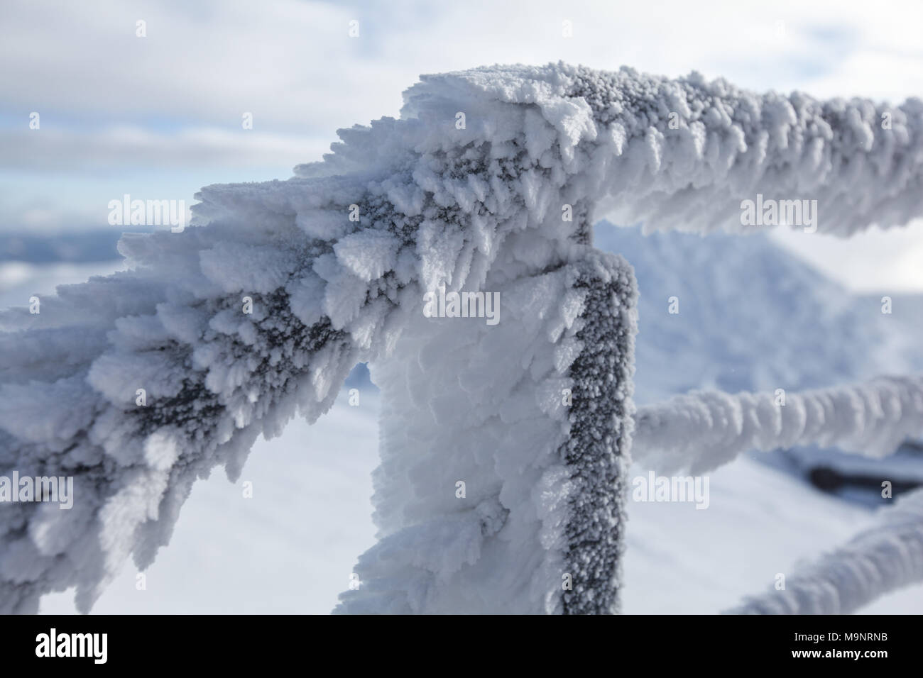 Snow and ice covered stairs fence illustrating extreme cold in the ...